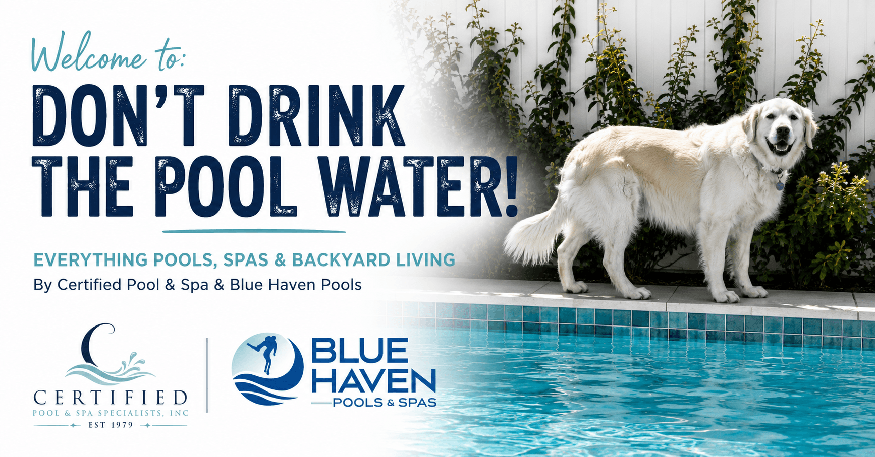 Don't Drink the Pool Water | Certified Pool & Spa Blog